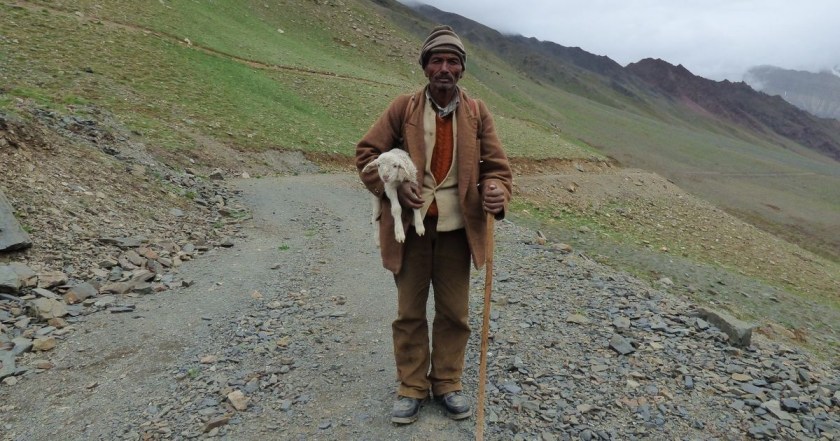 Janaki Lenin – Journalist and writer whose specialty is all things wild ...