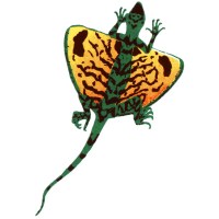 People & Wildlife – Janaki Lenin